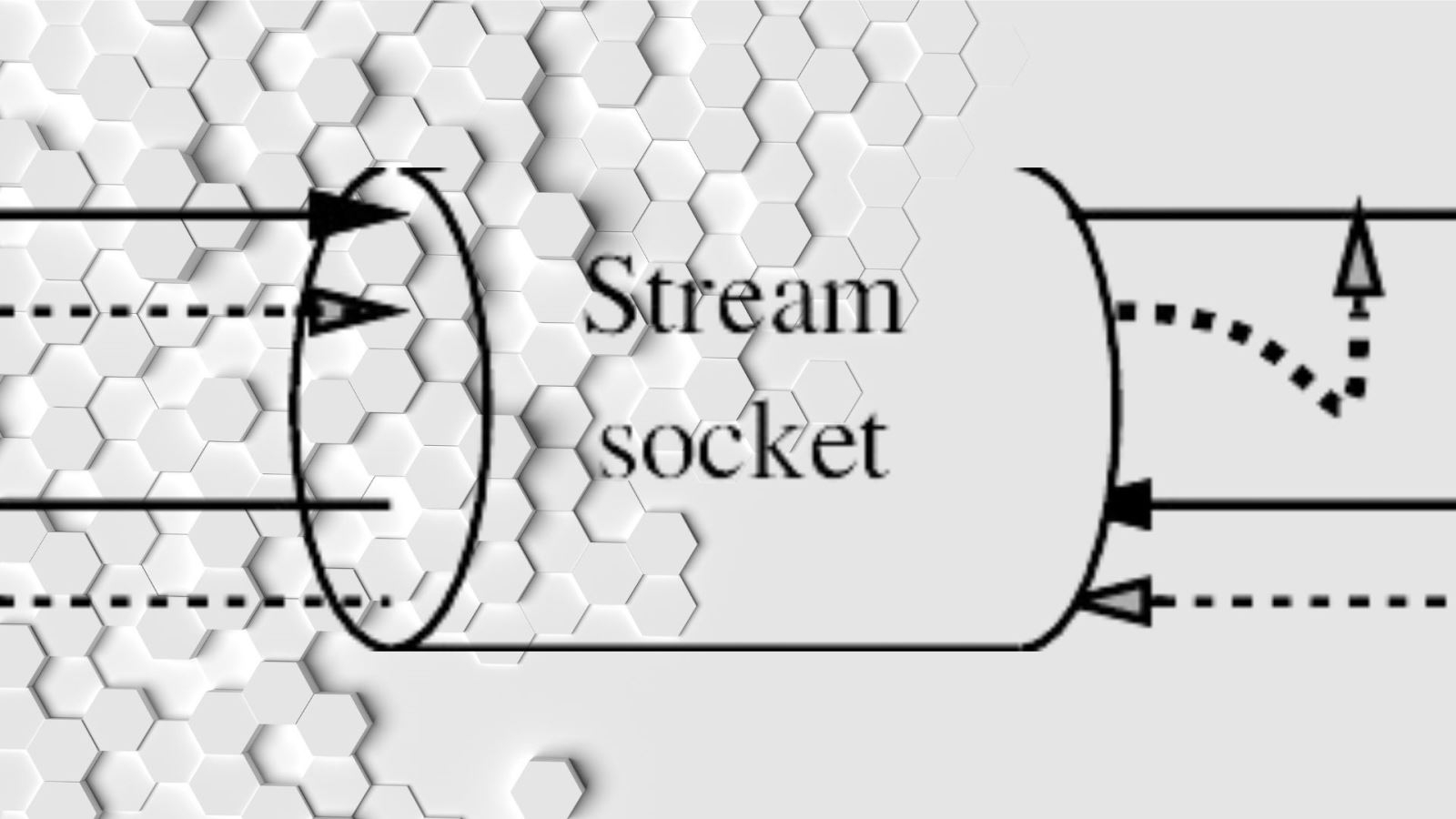 Socket là gì? Những loại Socket được ứng dụng trên thị trường